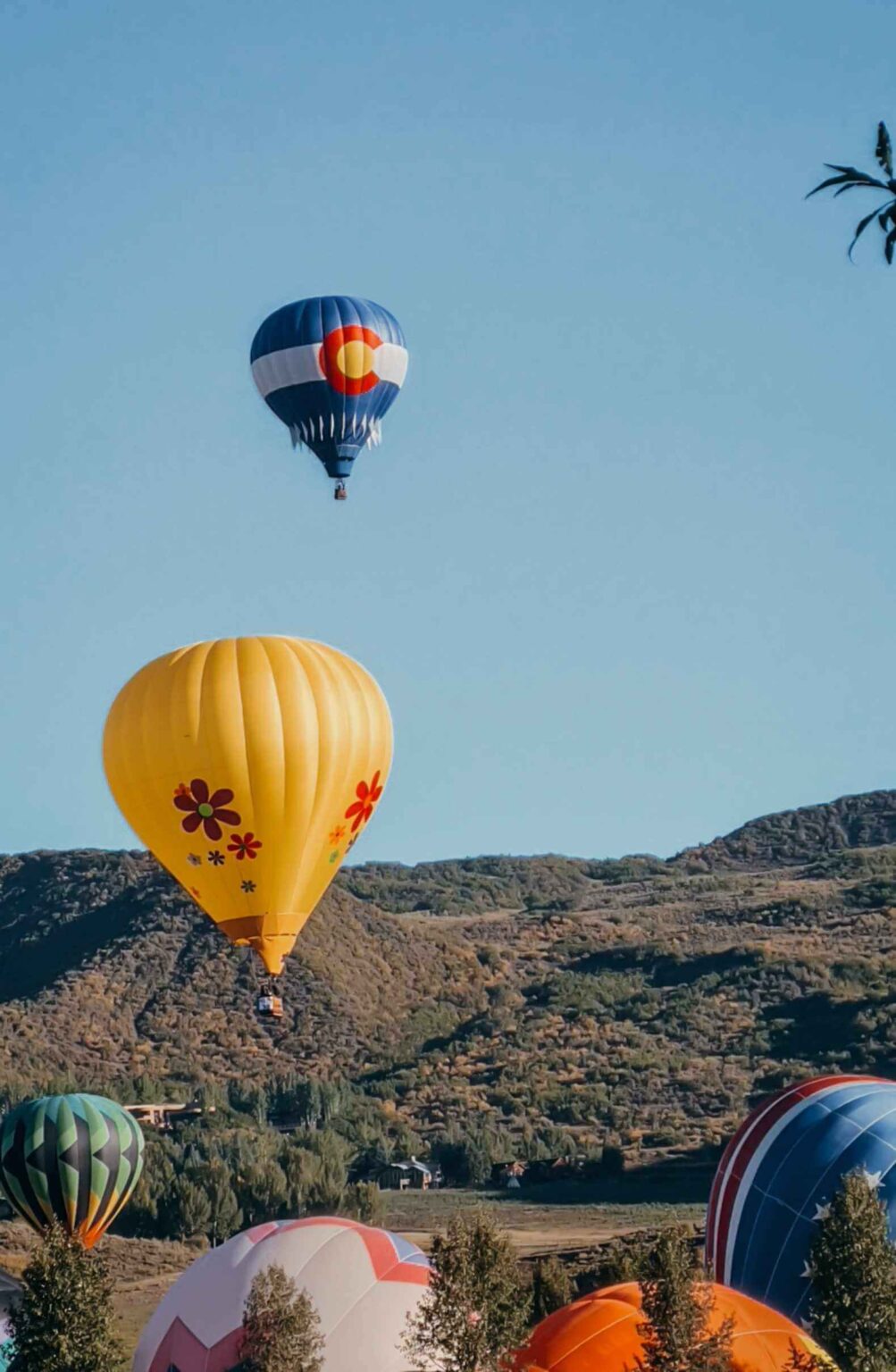 The Ultimate Guide to the Snowmass Balloon Festival (2026) - Afrostylicity