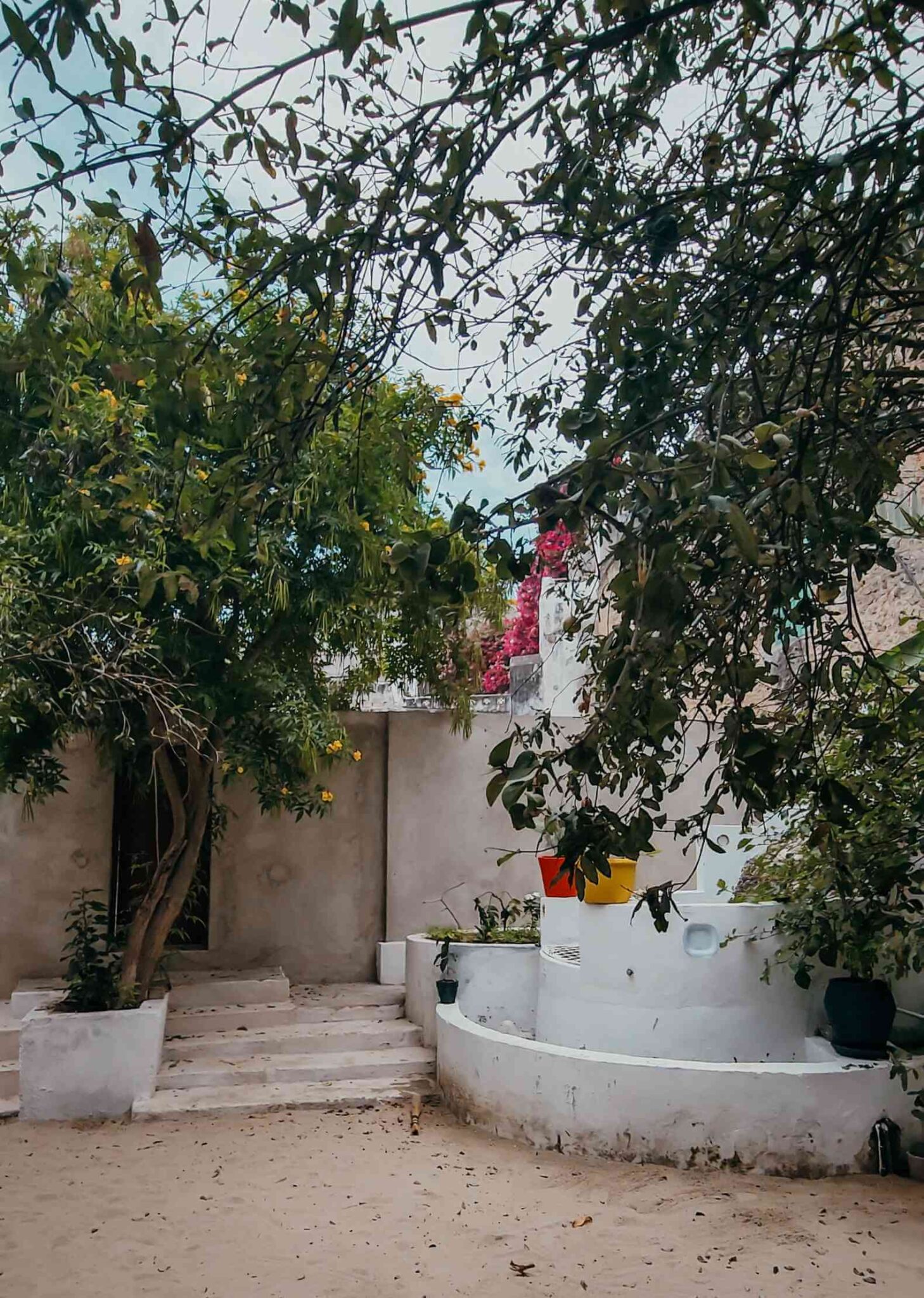 25 Exciting Things To Do in Lamu in 2025 - Afrostylicity